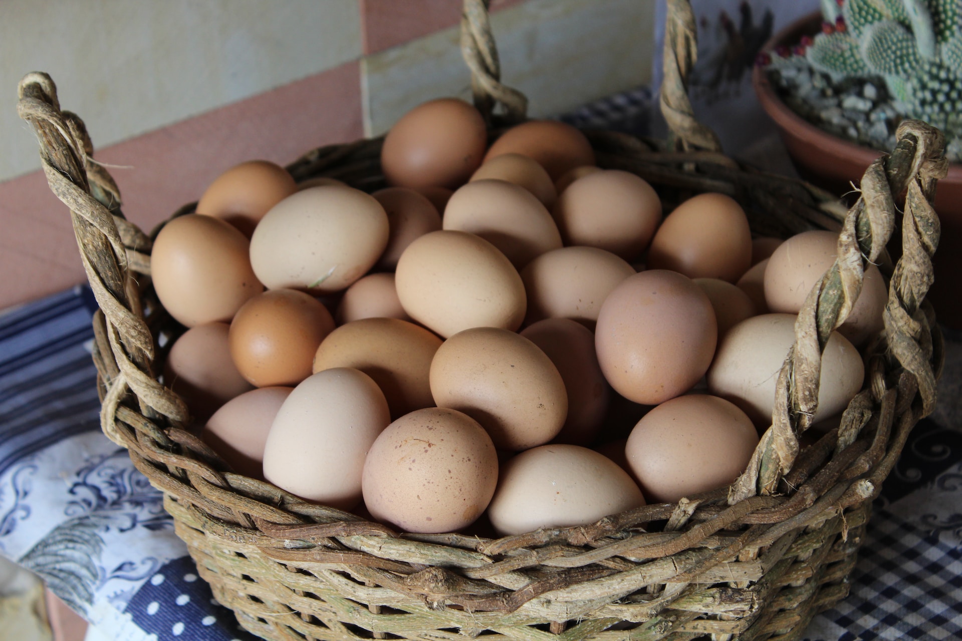 Large Pasture-Raised Eggs